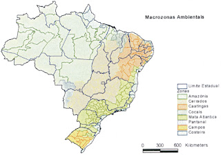 The Kerala Articles: Caatinga Brazil