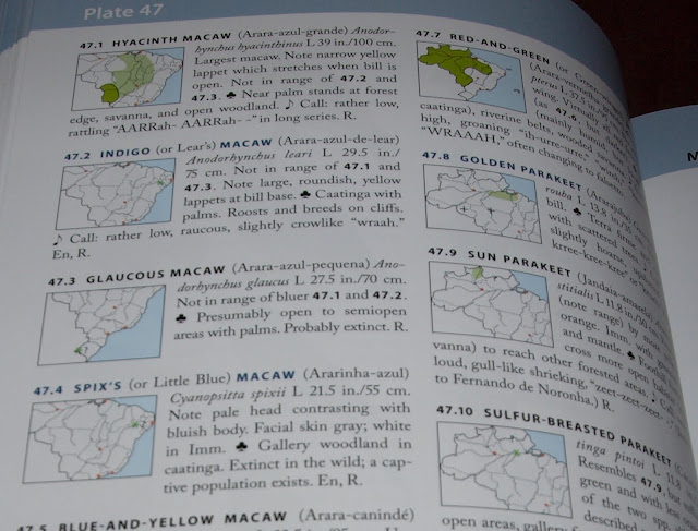 Birding Is Fun!: Review: A Field Guide to the Birds of Brazil