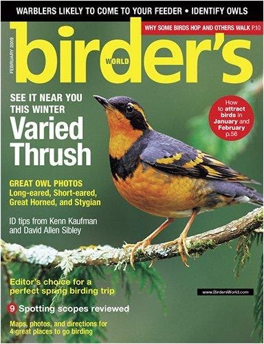 Birding Is Fun!: Magazine Review: Birder's World Magazine