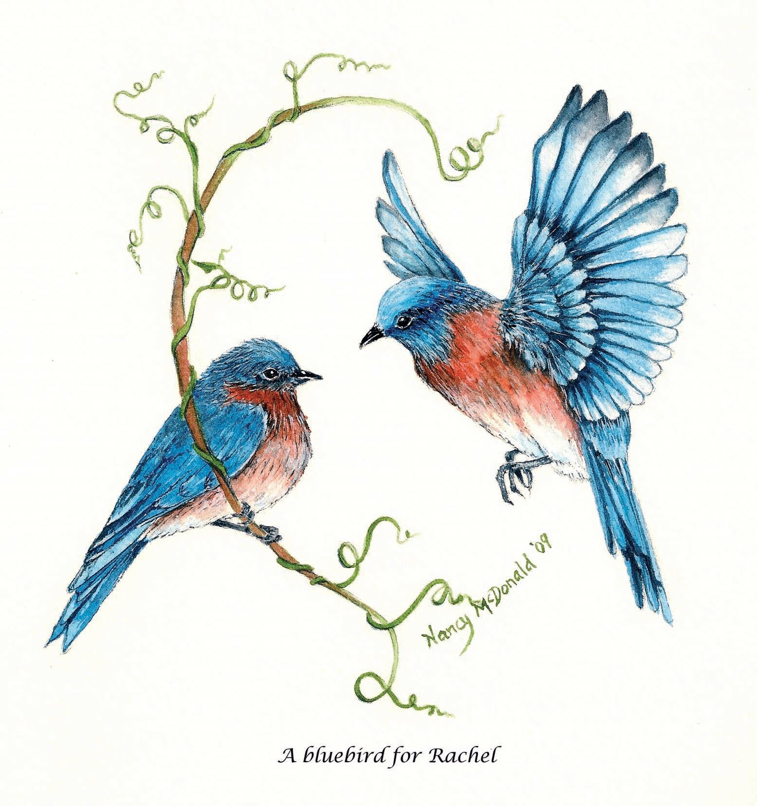 Nancy Hopps McDonald Inspirations