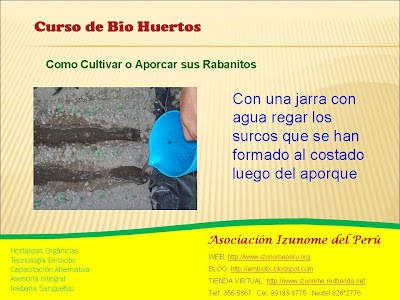 Huerta Casera. La Guia: Como Aporcar mis cultivos de rabanitos (Bio ...