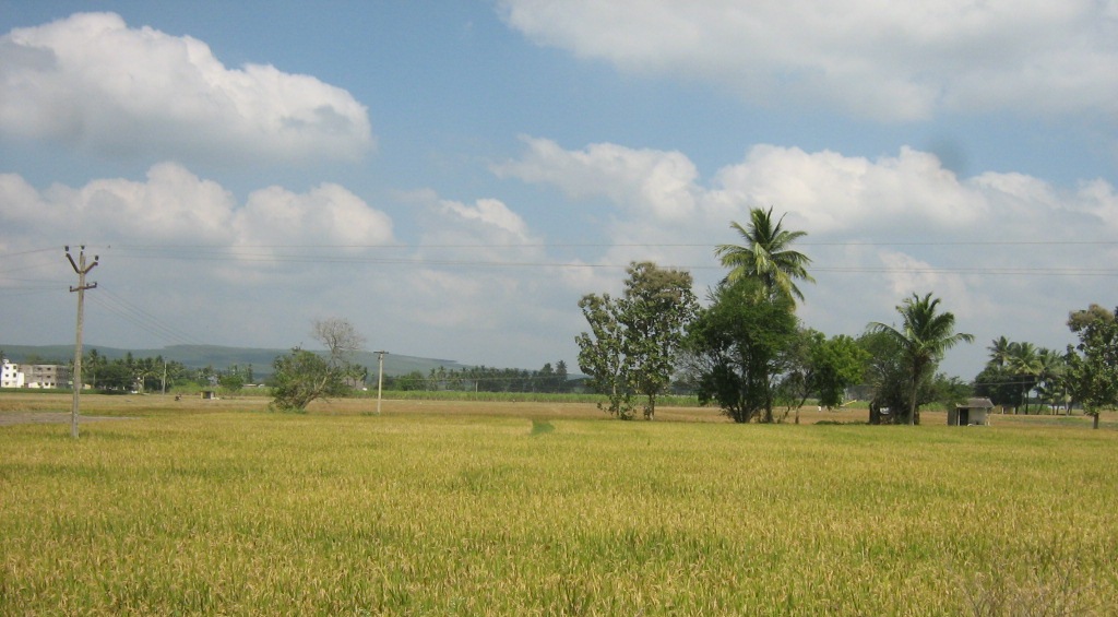 UTHUKOTTAI-ఊత్తుకొట్ట్టై-ஊத்துகோட்டை: Tourism Places