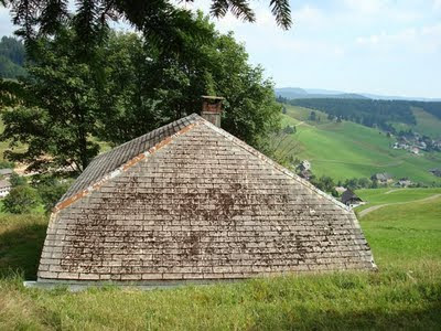 El blog de Juan Izquierdo: La cabaña de Heidegger: "Un espacio para pensar"
