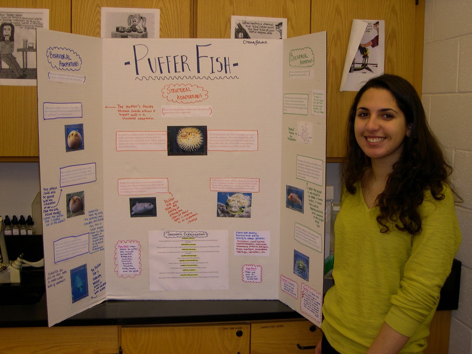 Bronxville Science Department: Evolution Projects: Adaptations