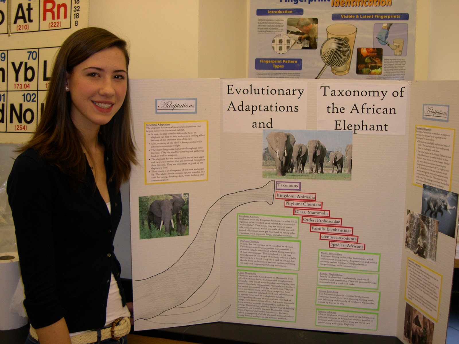 Bronxville Science Department: Evolution Projects: Adaptations