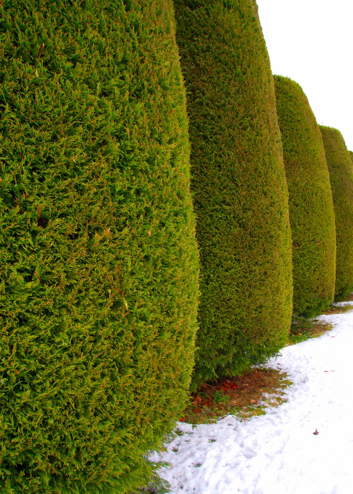 AttitudewithStyle photography by maxine melson - OCA Photography ...