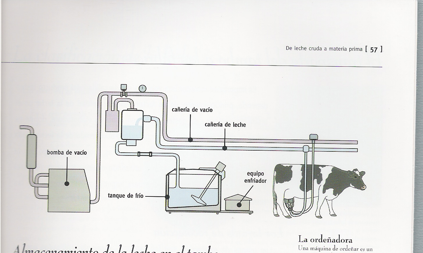 Cuidemos Nuestro Planeta: HIGIENIZACIÓN DE LA LECHE EN EL BICENTENARIO