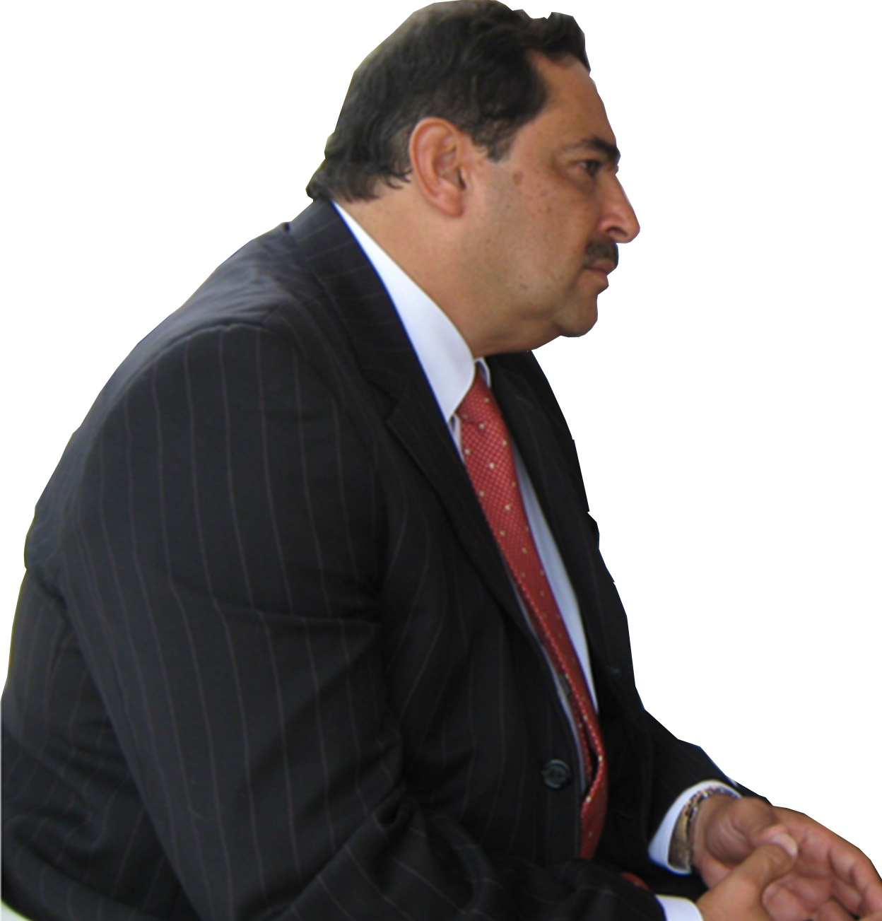 La Lupa: febrero 2011