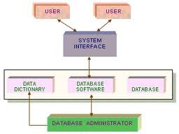 if life could only be simple !!!!!: continued DBMS components