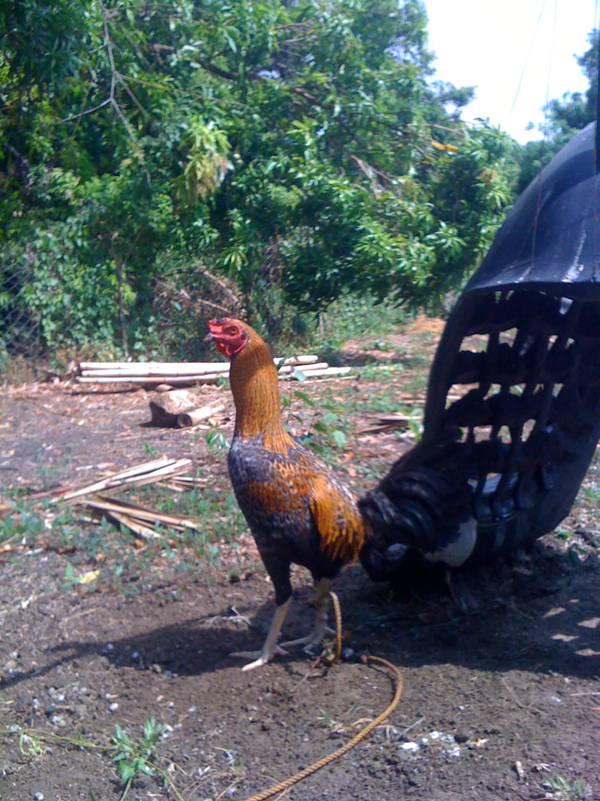 Team EbokAlaEh: May 2010