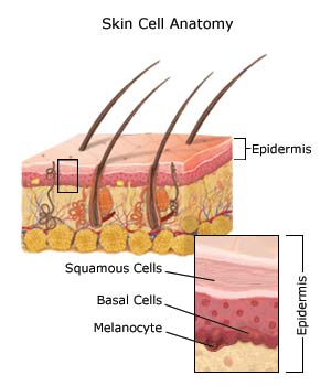 Web Health Watch: Skin Cancer Signs To Watch Out For