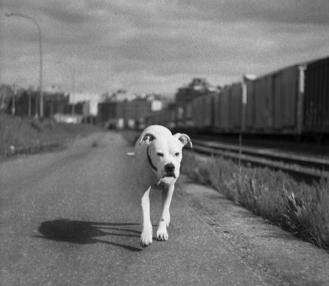 My Vintage Camera Collection: Miranda F