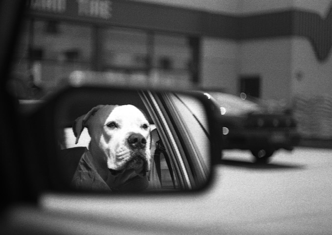 My Vintage Camera Collection: Miranda F