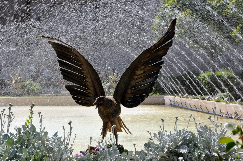 Kuwait Team Photoblog