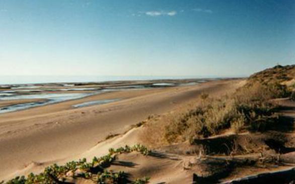 Conoce Sonora: Tierra de Contrastes