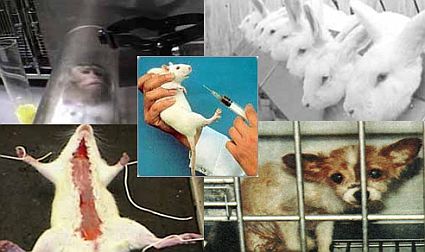 Animal-Kin-Folk-News: Professional Animal Torturers Issue Proclaimation ...