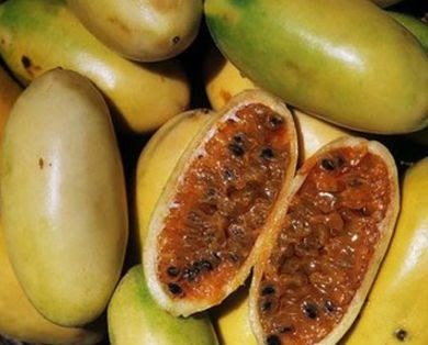 La historia a través de los alimentos: Tumbo, fruta baja en calorías