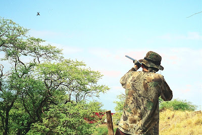 Zen Mirror: The Bird Hunter