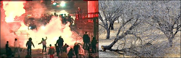 Últimas predicciones del Web Bot de Clif High (Half Past Human) | Ser ...