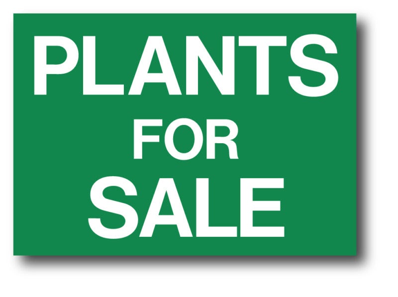 Metro Deaf School High School Happenings: Plant sale