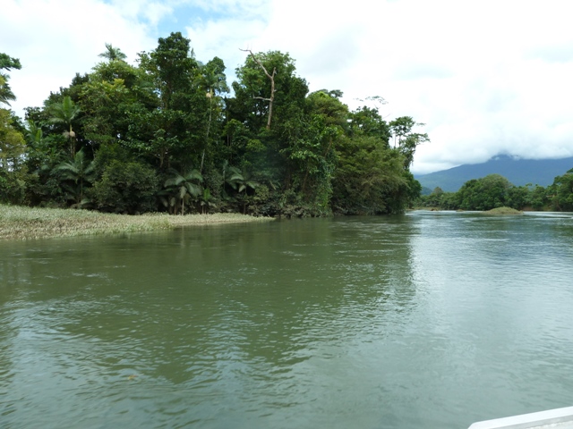 Fishing Cairns: The Russell in Flood!