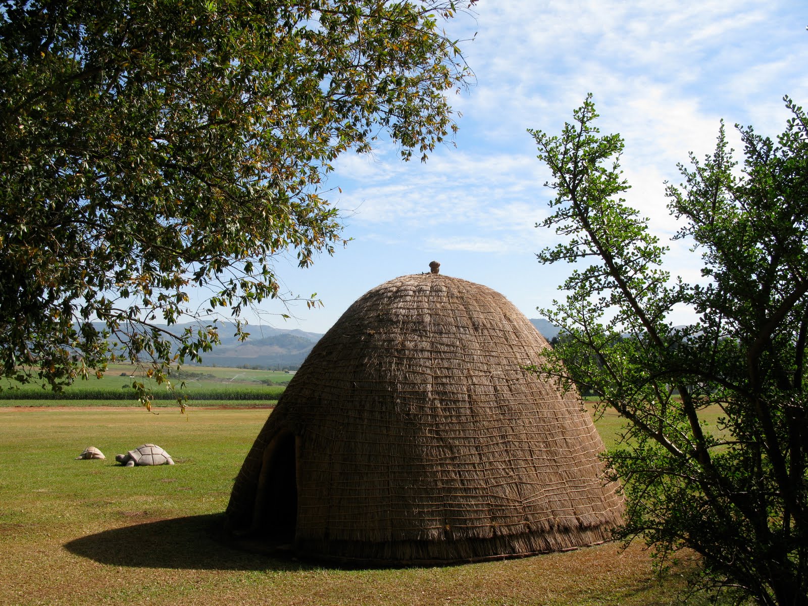 Made in Swaziland: Swazi Colors, Textures and Shapes