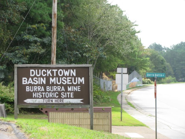 Where's Liz?: Ducktown, TN
