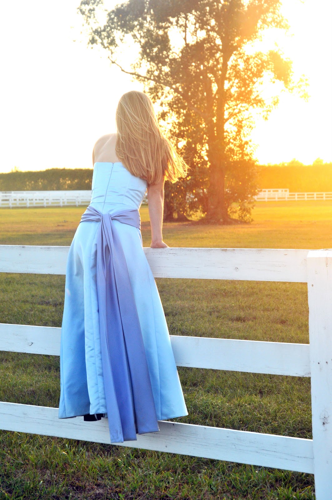 Fusion Photography Palm Beach, Inc: Fusion Photography Palm Beach, Inc ...