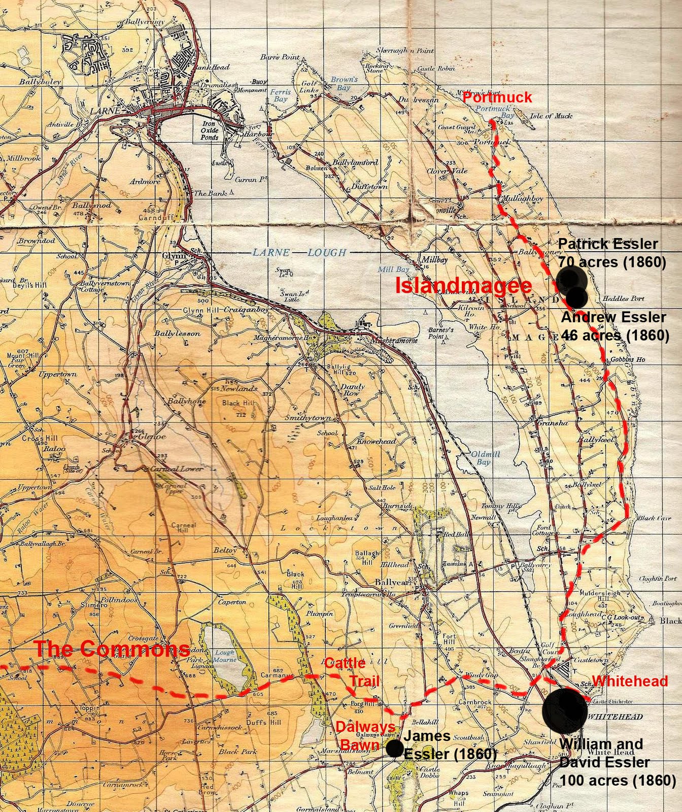 Steinbeck's Redemption: Whitehead and Islandmagee: The Eslers in ...