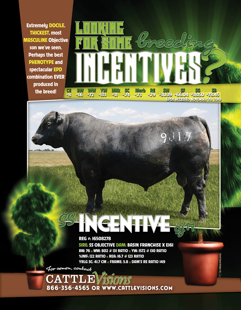 Ranch House Designs Blog: Recent Ads for Cattle Visions