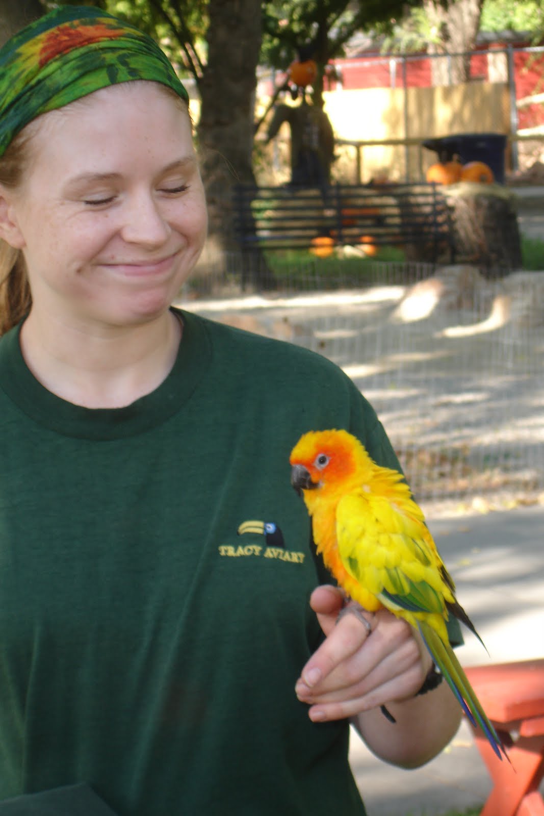 CHILDREN’S CAMPUS: Tracy Bird Aviary