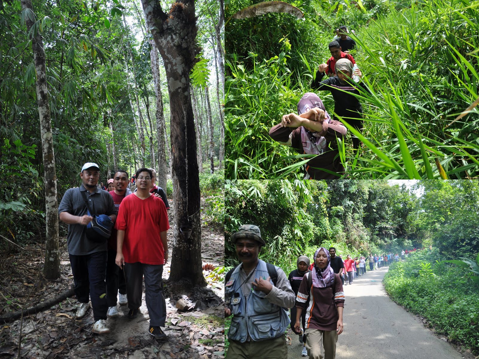 cute PANDA: Gua Gendang, Pengkalan Hulu - Perak