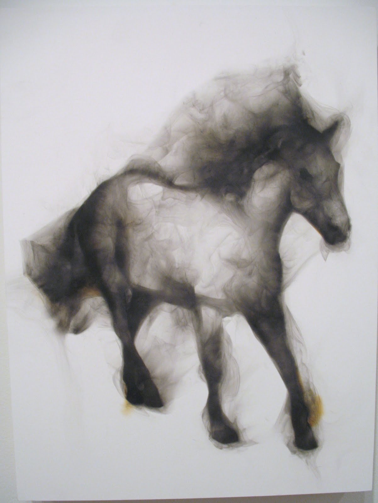 RVA Artblog: Pics from long gone shows at Reynolds: "Viewpoint," Rob ...