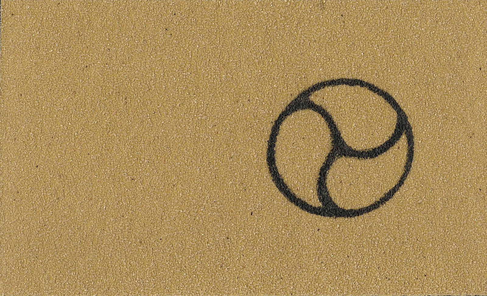 Work Experience: Day3