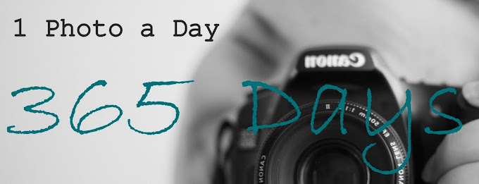 365 Photo a Day Project: 53 of 365