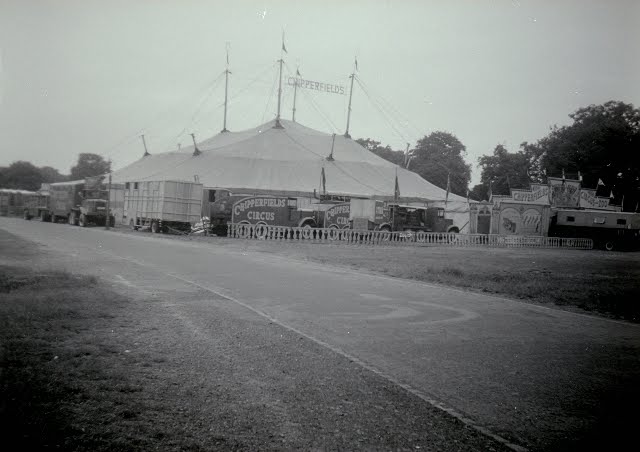 Sawdust and Spangles: Chipperfield Circus ( From John Evans )