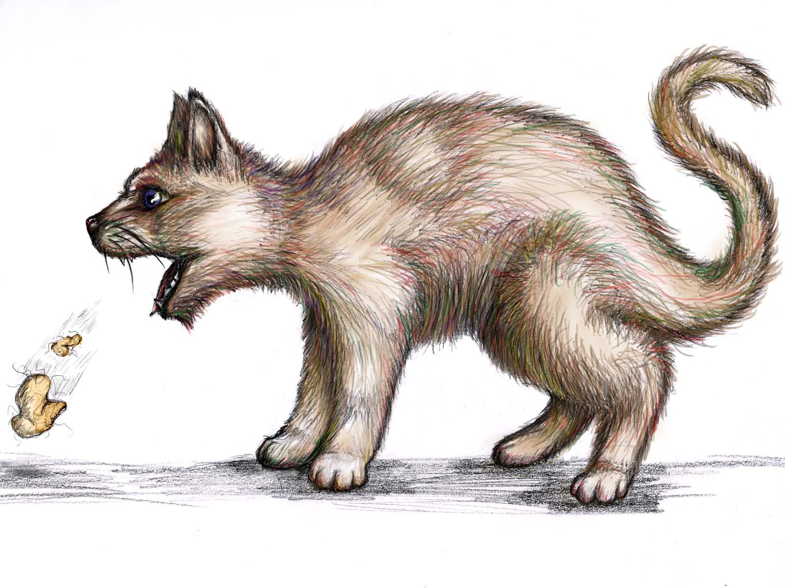 Adam's Art Work: Cat Drawing