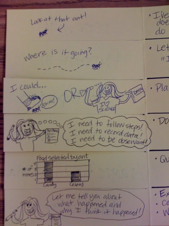 Mrs. Pallagi's Science Blog: Pictures of Scientific Method Foldable