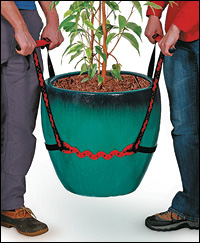 The Stroke Thrivers: Gardening