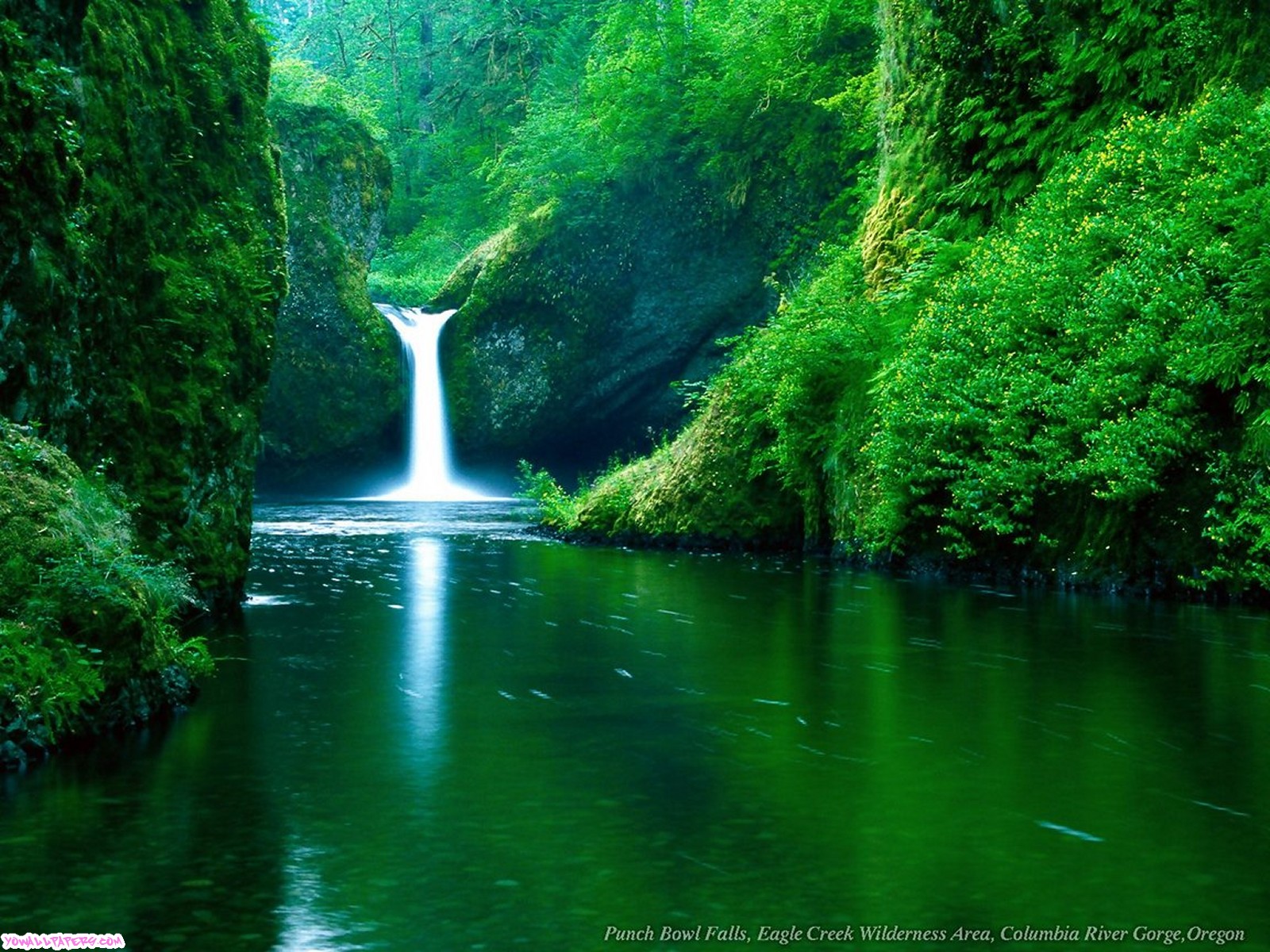 Import wallpaper: AMAZING WATERFAL