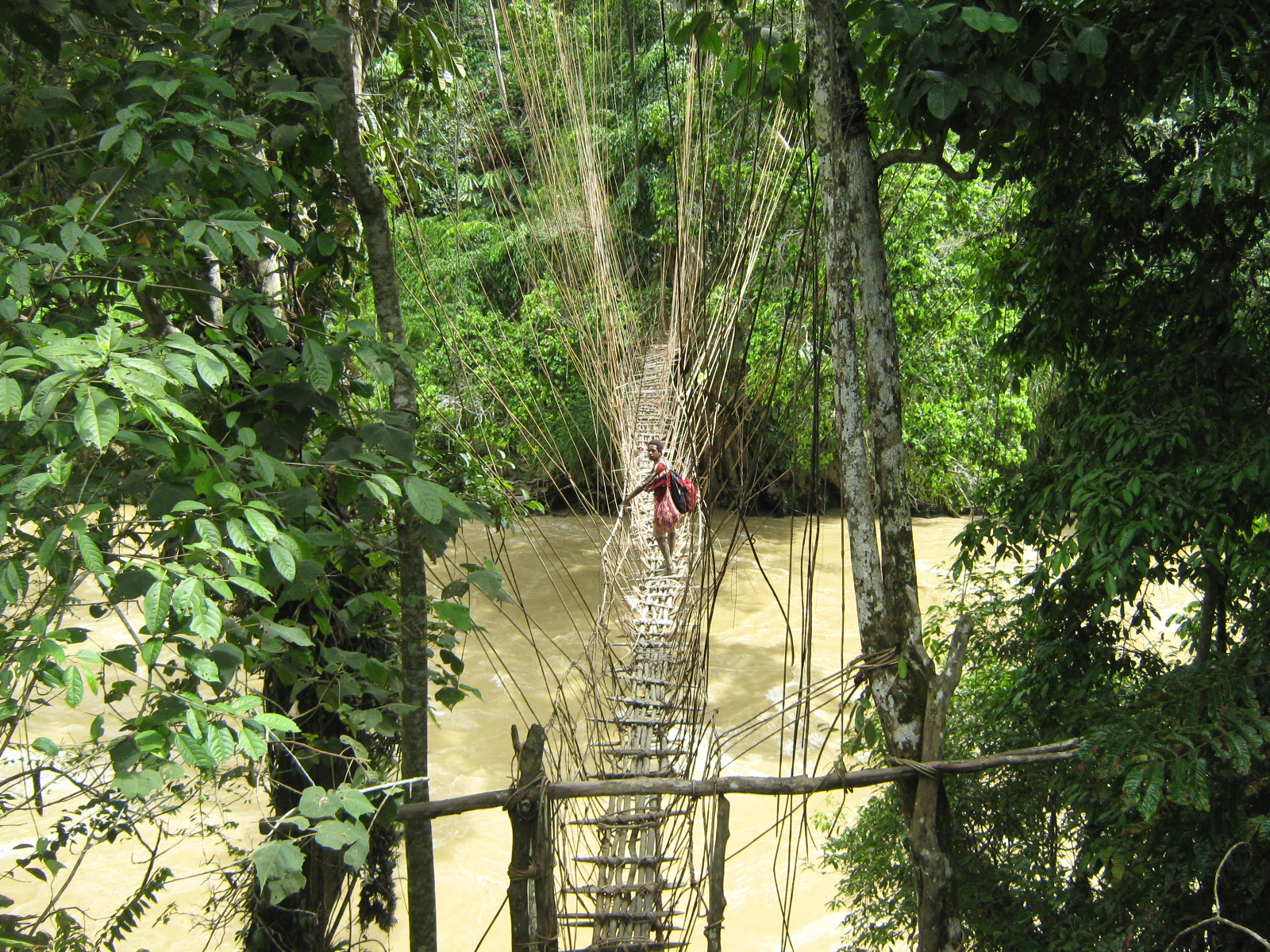 Simbari Eco-Tourism ~ Nokondishop