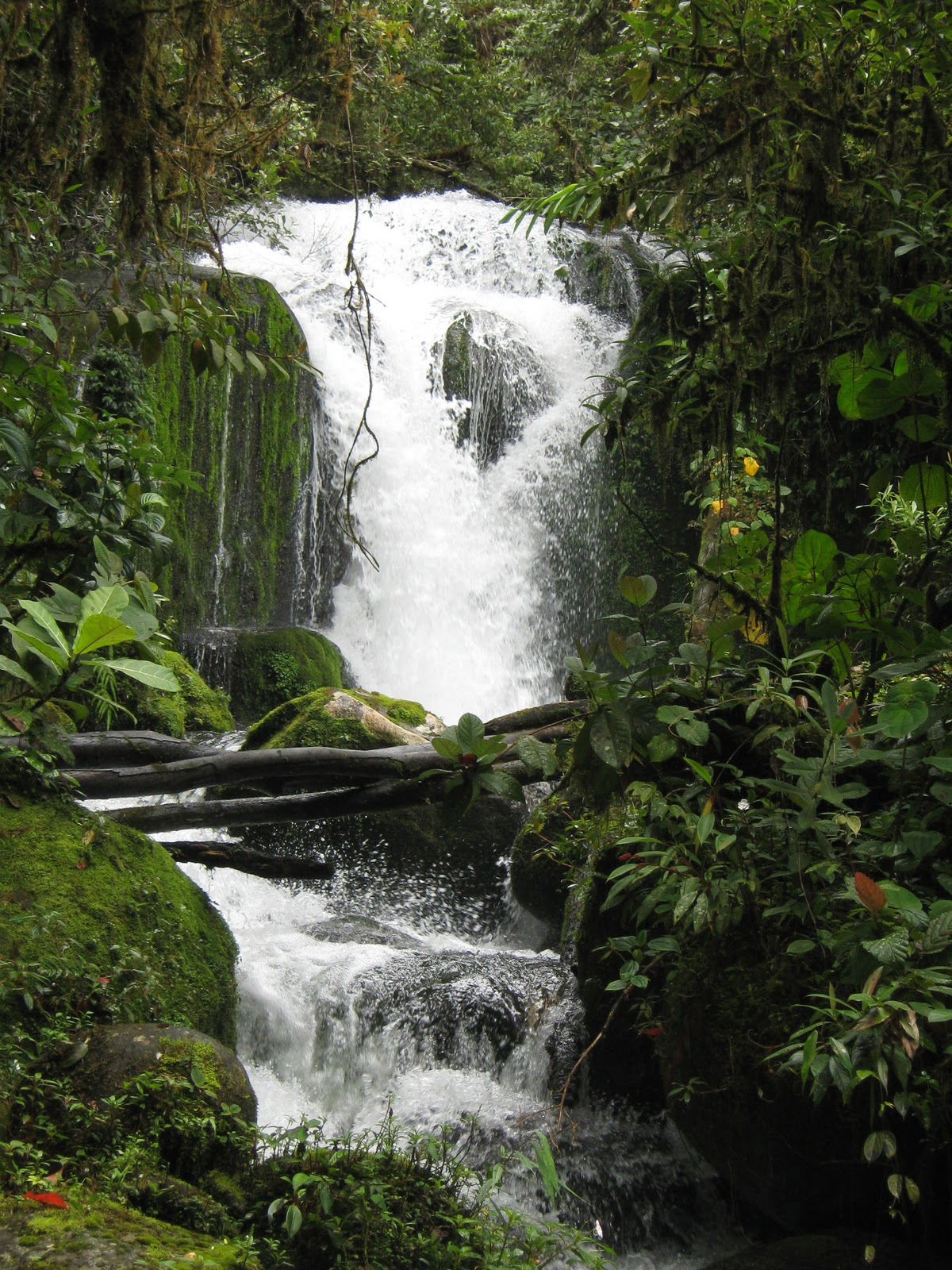 Simbari Eco-Tourism ~ Nokondishop