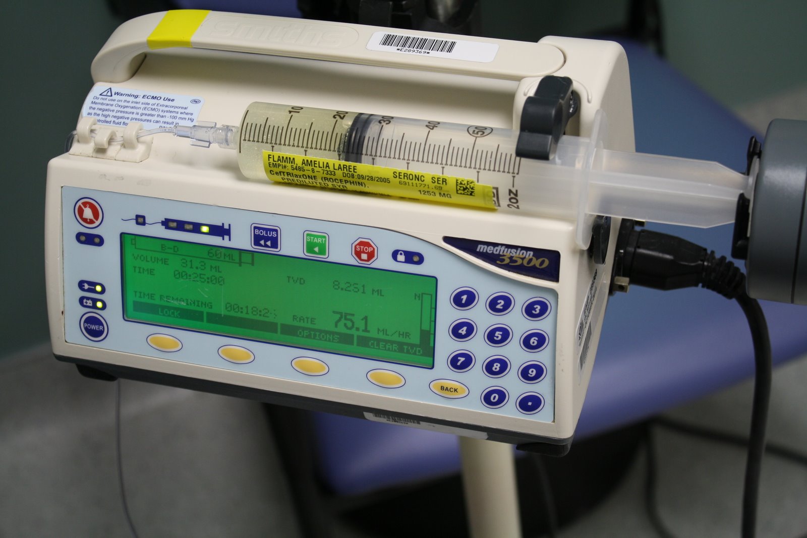 FLAMM FAM: What's been going on with Millie