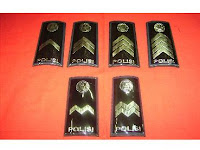 Memanfaatkan Kesempatan: Jabatan Polisi