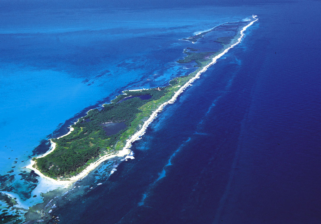 Tourism in real mexico - english version: Contoy Island national park