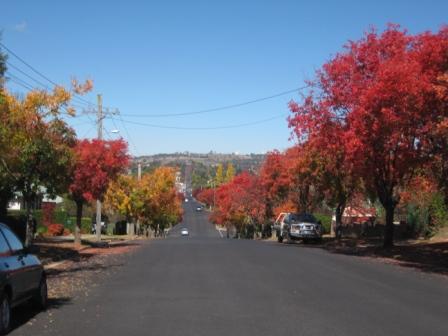 Wayward Rambler: Armidale Autumn