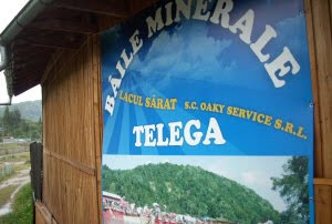z b a t e r i - blog cu intentii bune: Telega