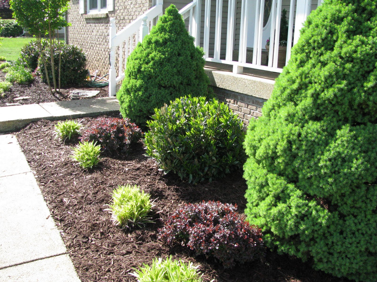 EARTH ALIVE AND BEAUTIFUL by Jason: Landscaping Photo by Peter