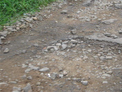 A Travel Through the MC Road in Kerala is Really Adventurous