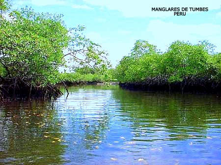 PLAAN : Santuario Nacional Los Manglares de Tumbes